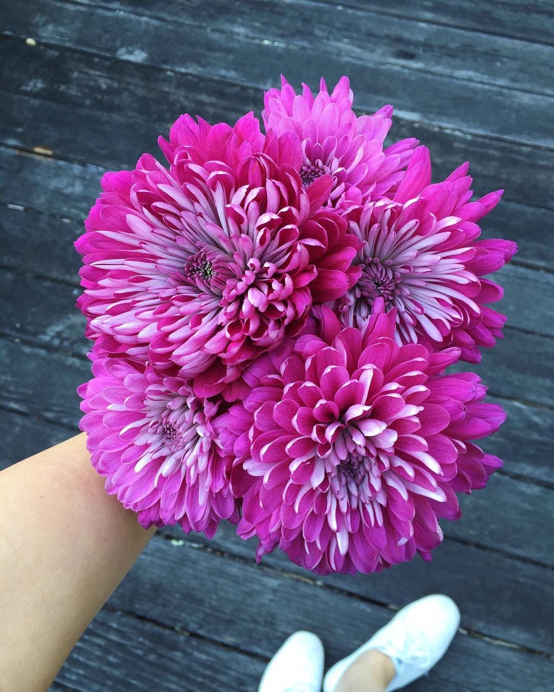 There's No Such Thing as an "Organic" Spray Tan | JOYFETTI